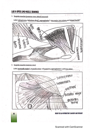 [Solved] Match the following cranial nerve with its function Group ...