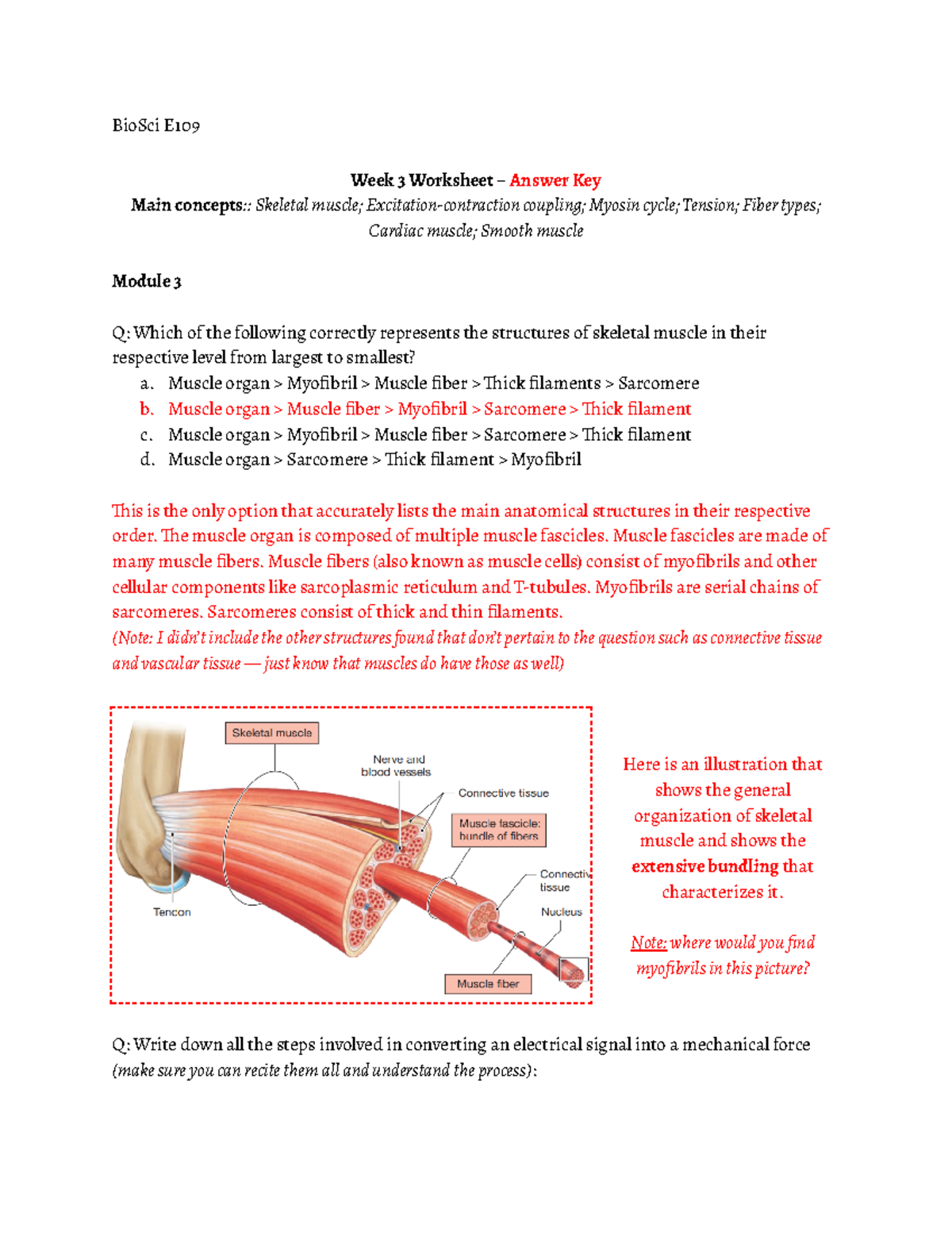 E109 Worksheet Group - BioSci E Week 3 Worksheet –Answer Key Main ...