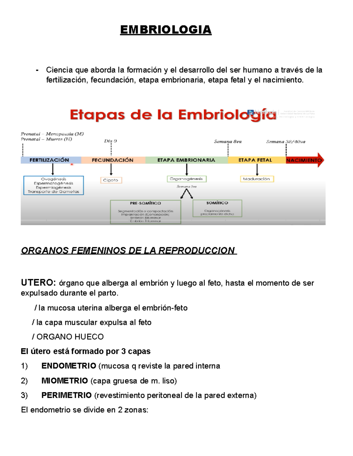Embriologia - Resumen primera, segunda y tercera semana de desarrollo ...