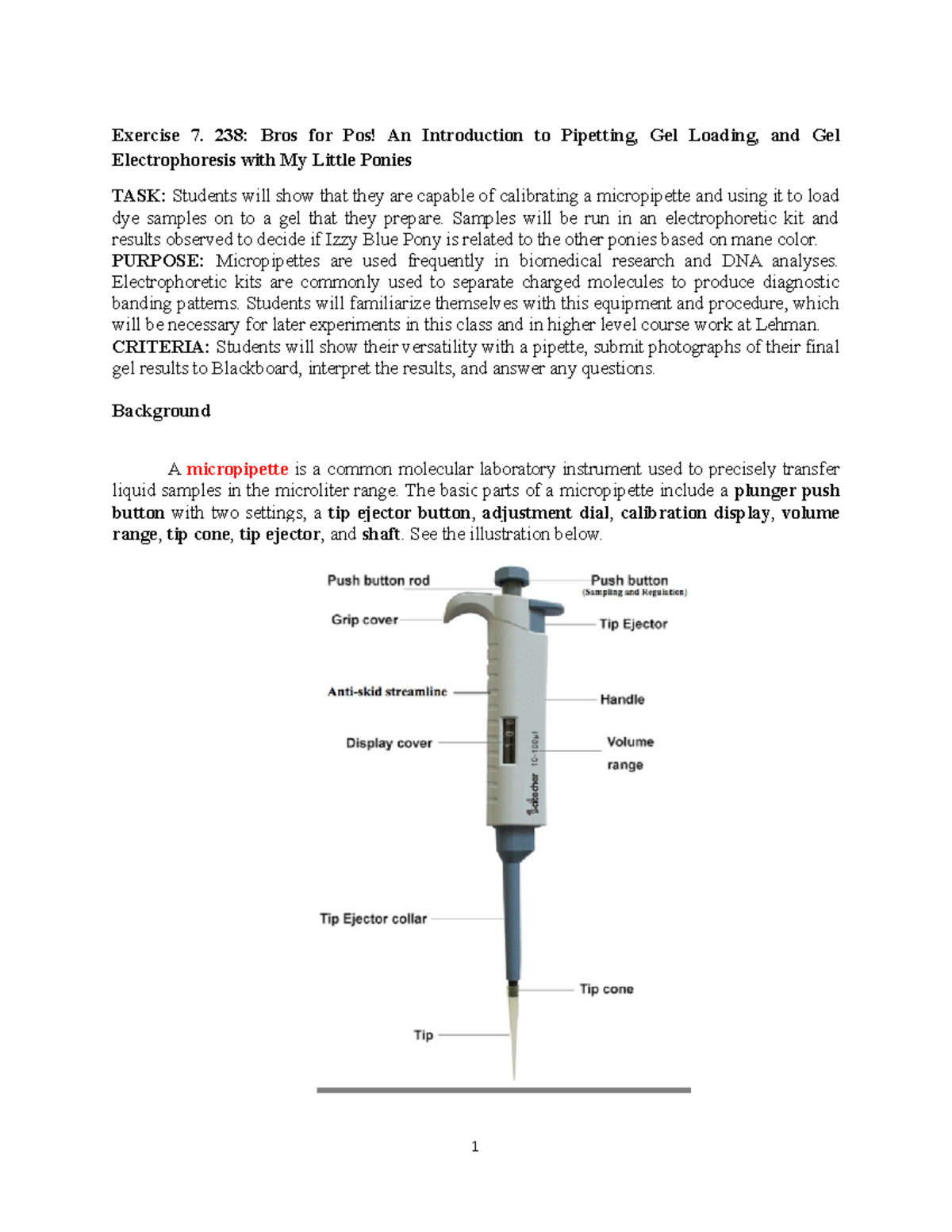 Exercise%207 - bio - Exercise 7. 238: Bros for Pos! An Introduction to Pipetting, Gel Loading ...