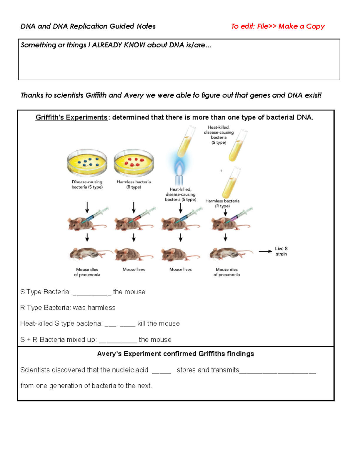 Copy of DNA & DNA Replication Notes - Something or things I ALREADY ...