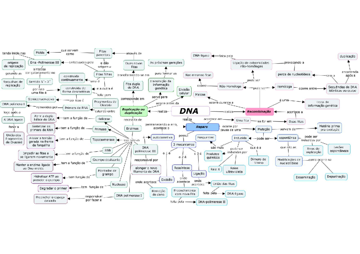 SM3CG - mapa mental dna - Biologia Celular - Studocu