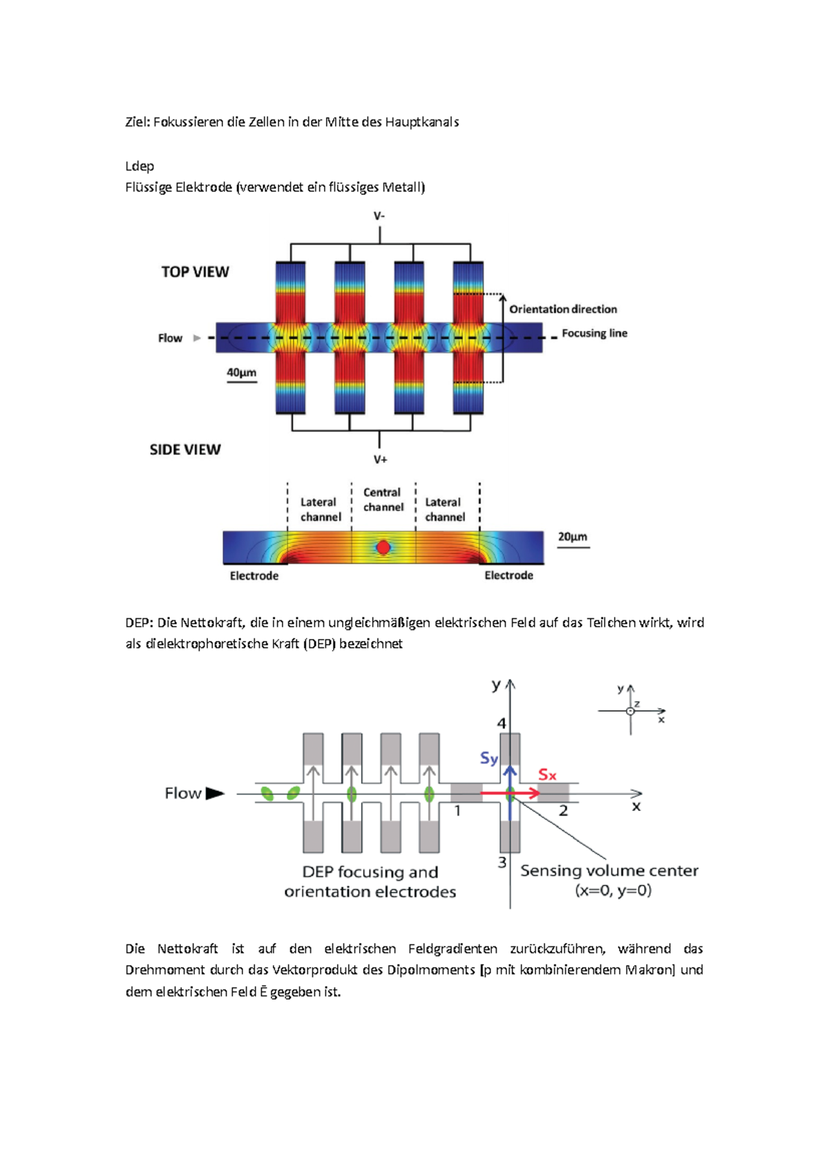 Basics - Ziel: Fokussieren die Zellen in der Mitte des Hauptkanals Ldep ...