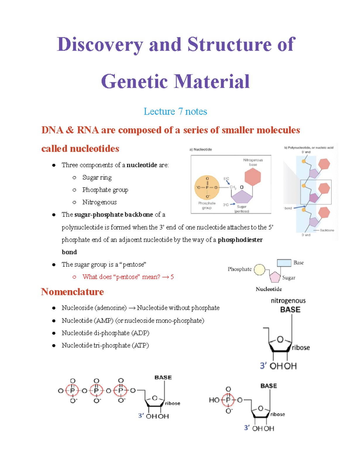 Bio Lecture 7 notes - Discovery and Structure of Genetic Material ...