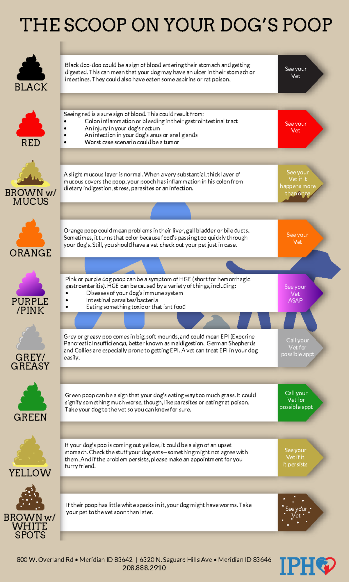 Poop-Color-Chart - Color chart - THE SCOOP ON YOUR DOG’S POOP BLACK RED ...