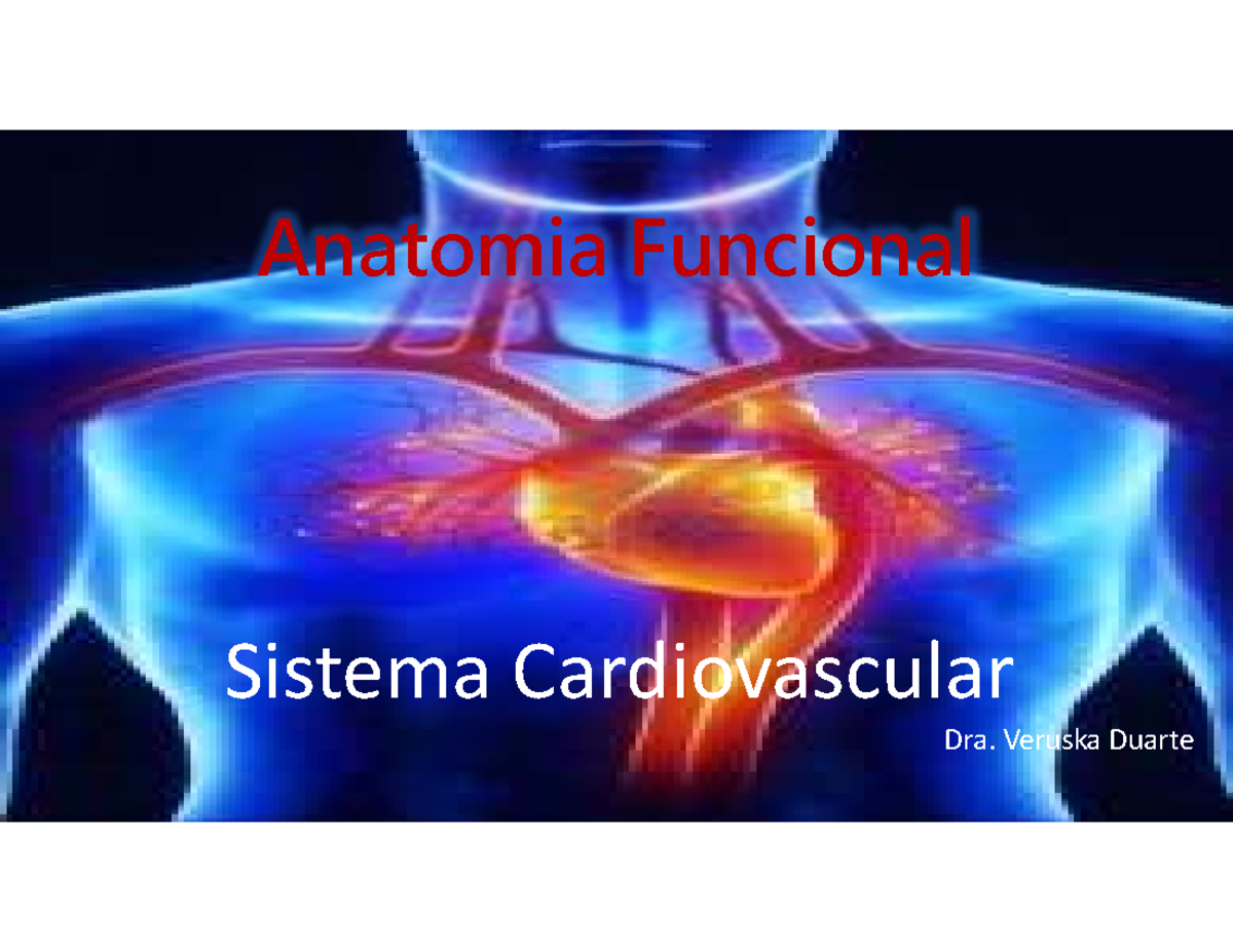Aula 1 sistema cardivascular - Anatomia Funcional Sistema ...