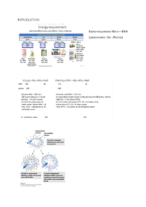 PI examples solutions - BCM 257 - Studocu
