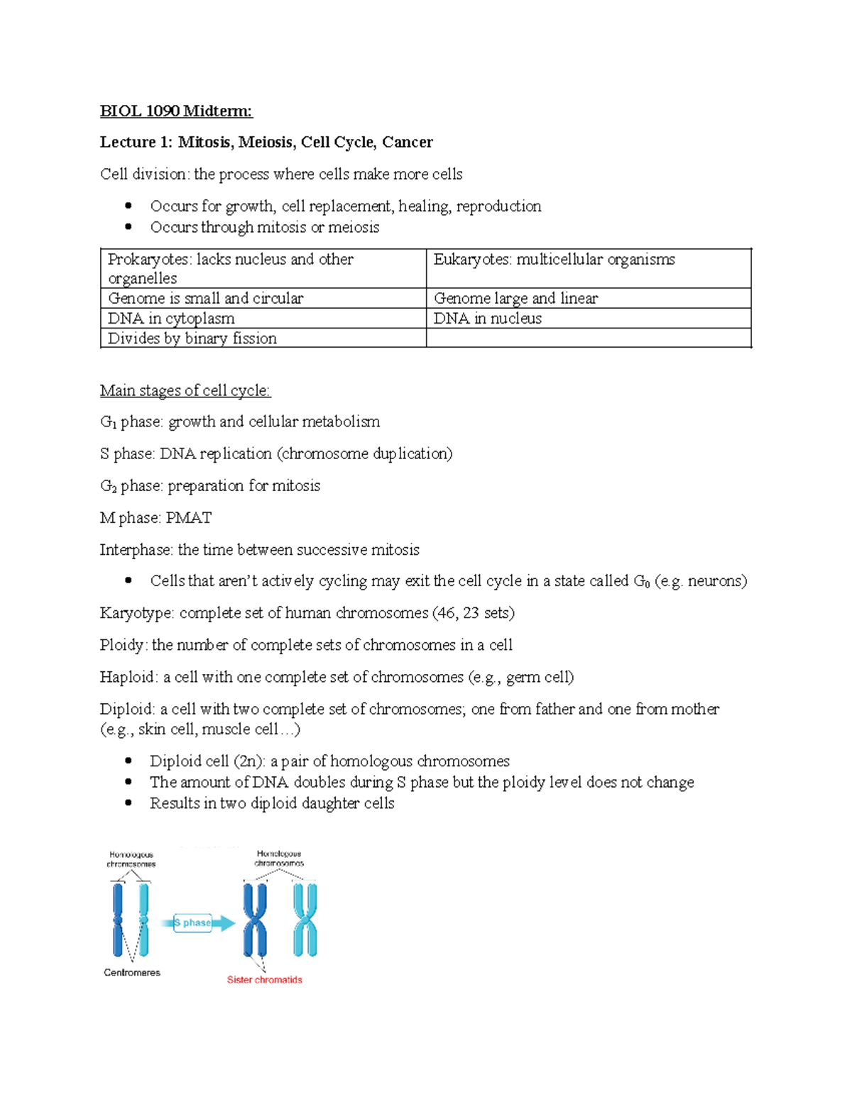 Midterm - BIOL 1090 Midterm: Lecture 1: Mitosis, Meiosis, Cell Cycle ...