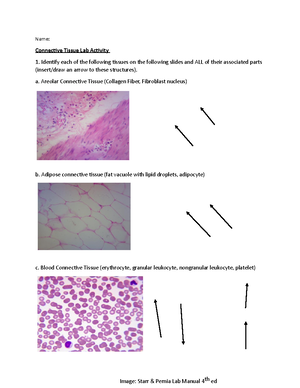 Transport Across the Cell Membrane Worksheet student copy (3 ...