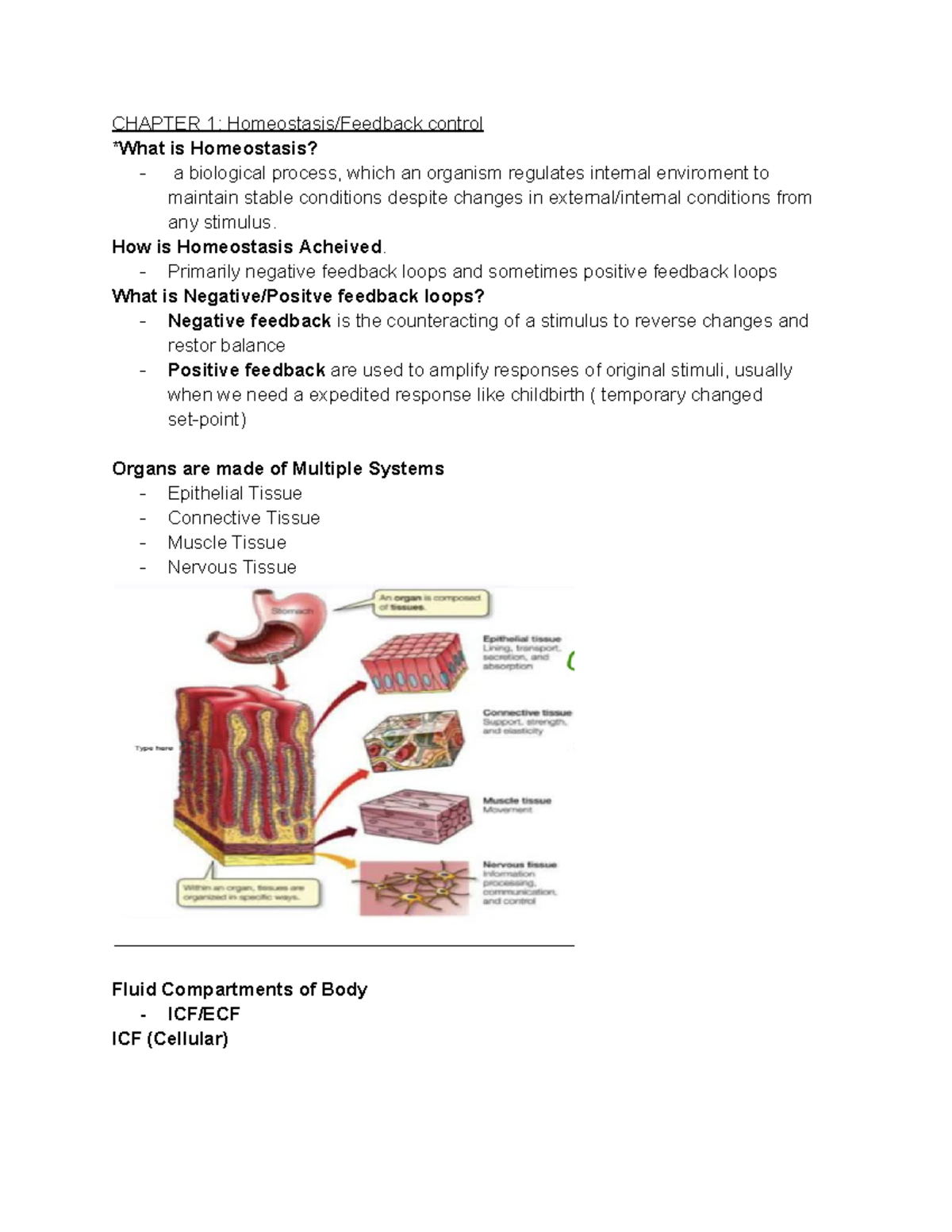 Physiology%20Exam%201 - CHAPTER 1: Homeostasis/Feedback control *What ...