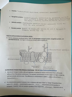 Pg - Week 3 - CH. READING GUIDE: Cell Structure Organelle Function ...