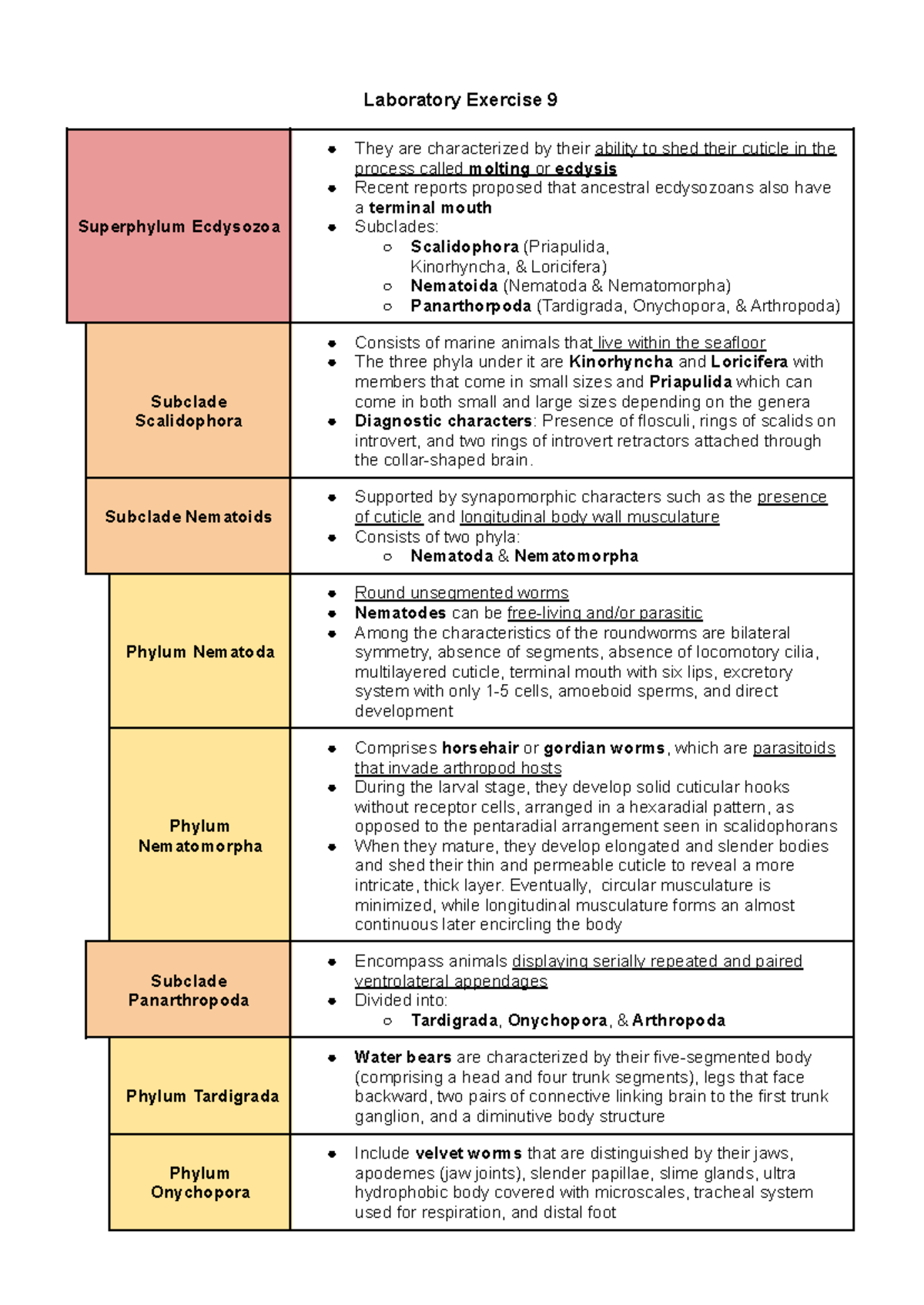 Systematics - Laboratory Exercise 9 Superphylum Ecdysozoa They are ...