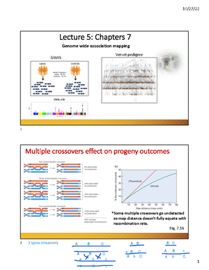 Ansci 3213 2022 Chapter 7 Lecture 2 final - Concept: Linked genes ...