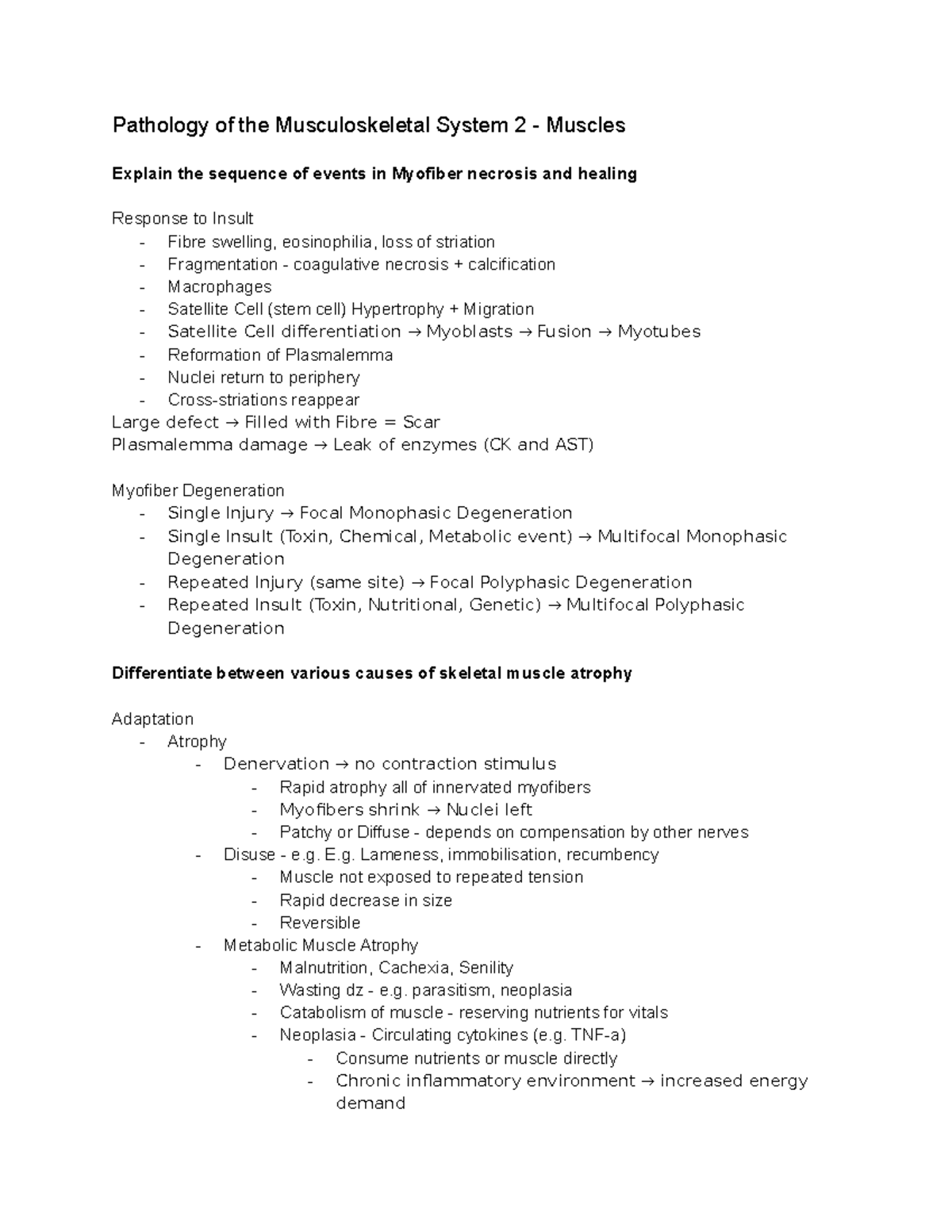 Pathology of the Musculoskeletal System 2 - Muscles - E. Lameness ...