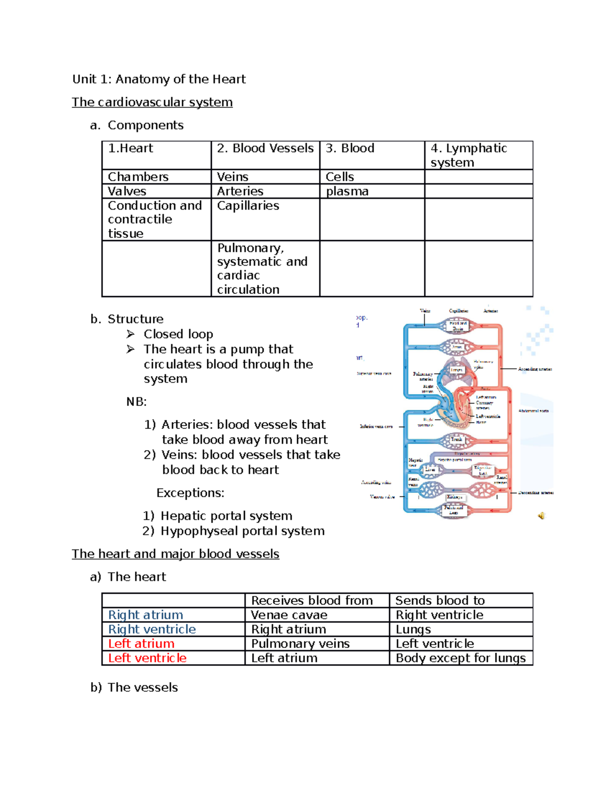 FLG 212 Unit 1 Anatomy of the heart - Unit 1: Anatomy of the Heart The ...