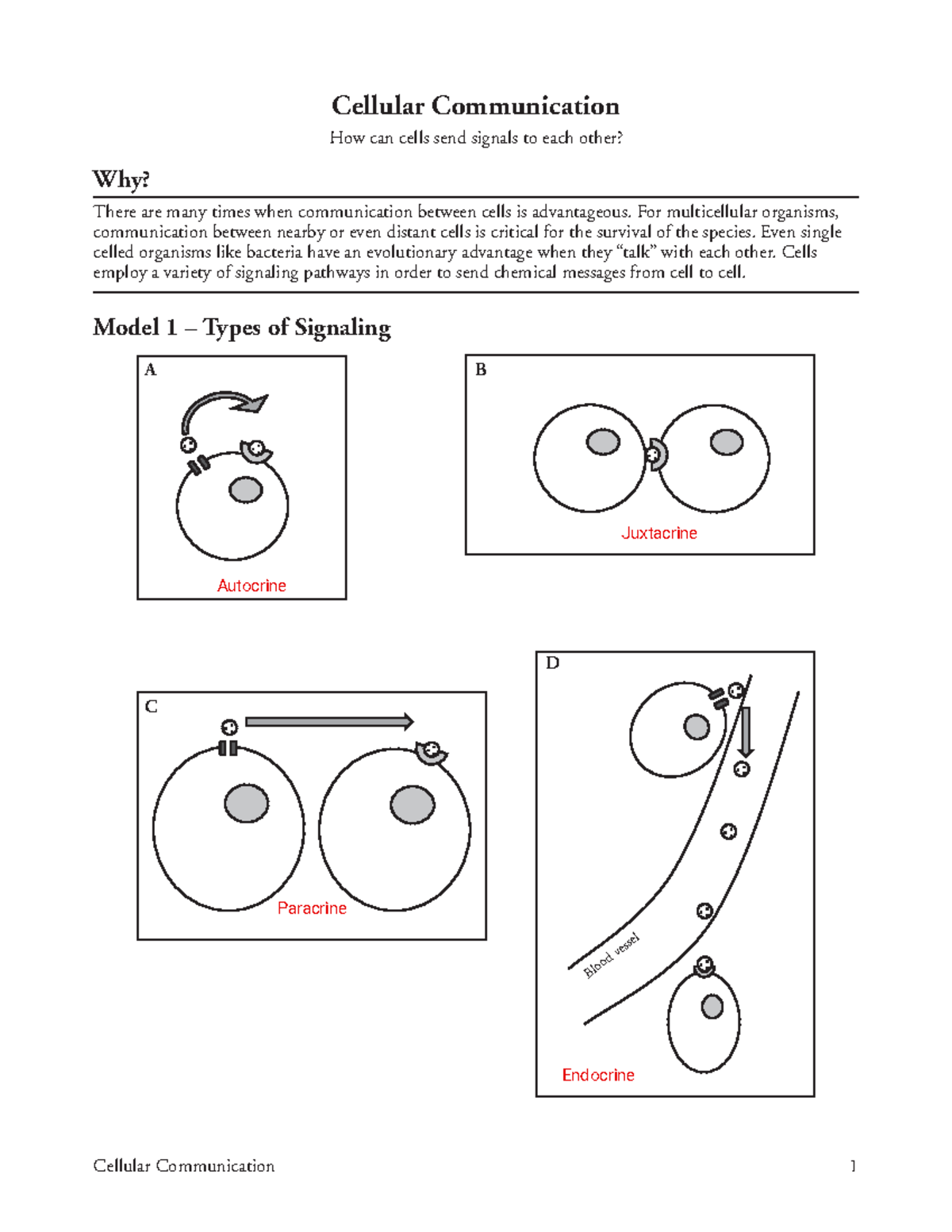 Kami Export - 12 Cellular Communication-S 2 - Cellular Communication 1 Cellular Communication ...