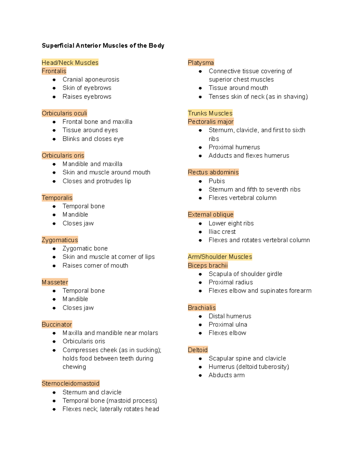 Anaphy - The Muscular System - Superficial Anterior Muscles of the Body ...