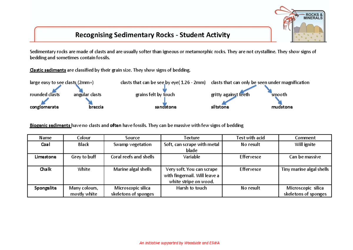 Recognising Sedimentary Rocks - Student Activity - Sedimentary rocks ...