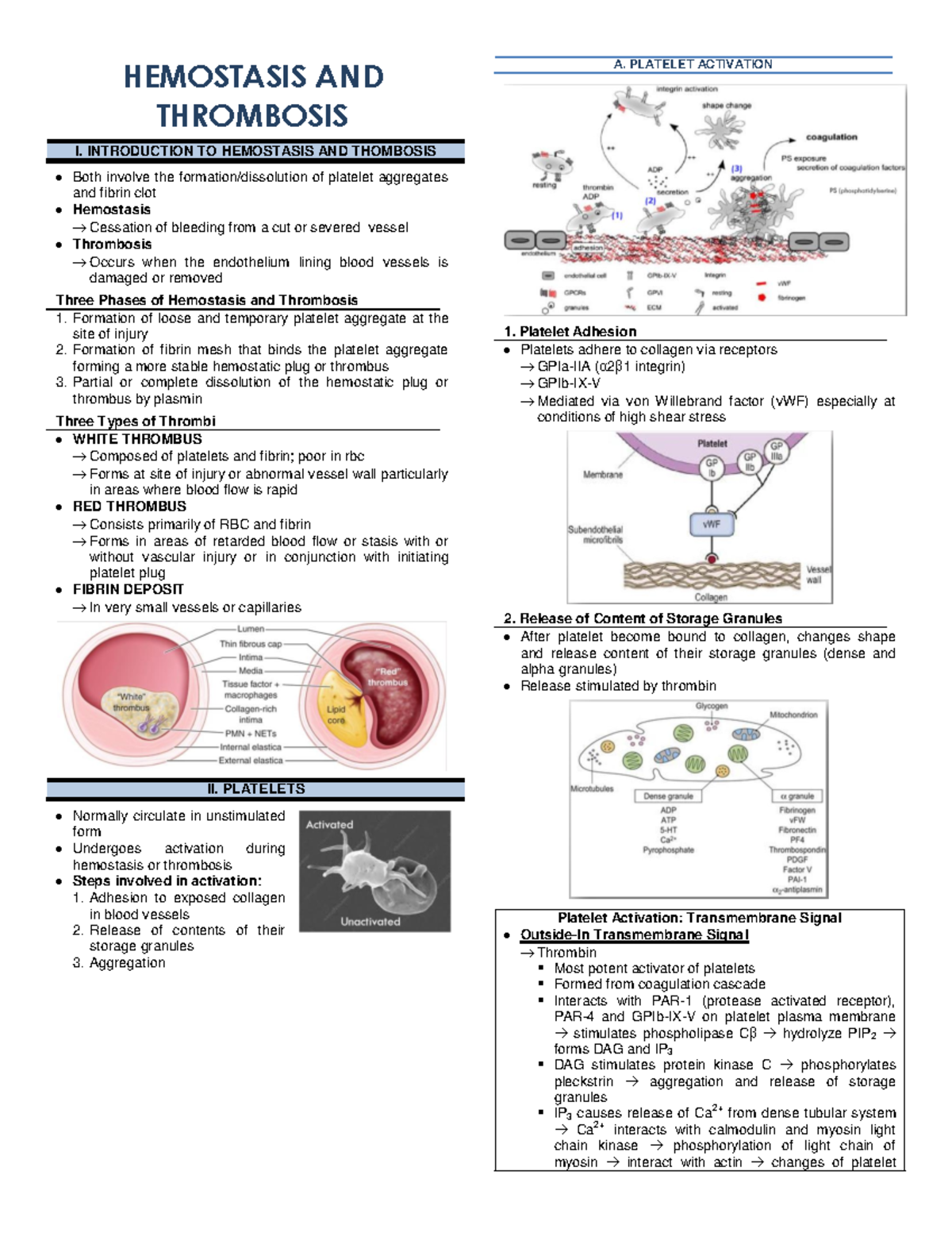 Hemostasis and thrombosis - HEMOSTASIS AND THROMBOSIS I. INTRODUCTION ...