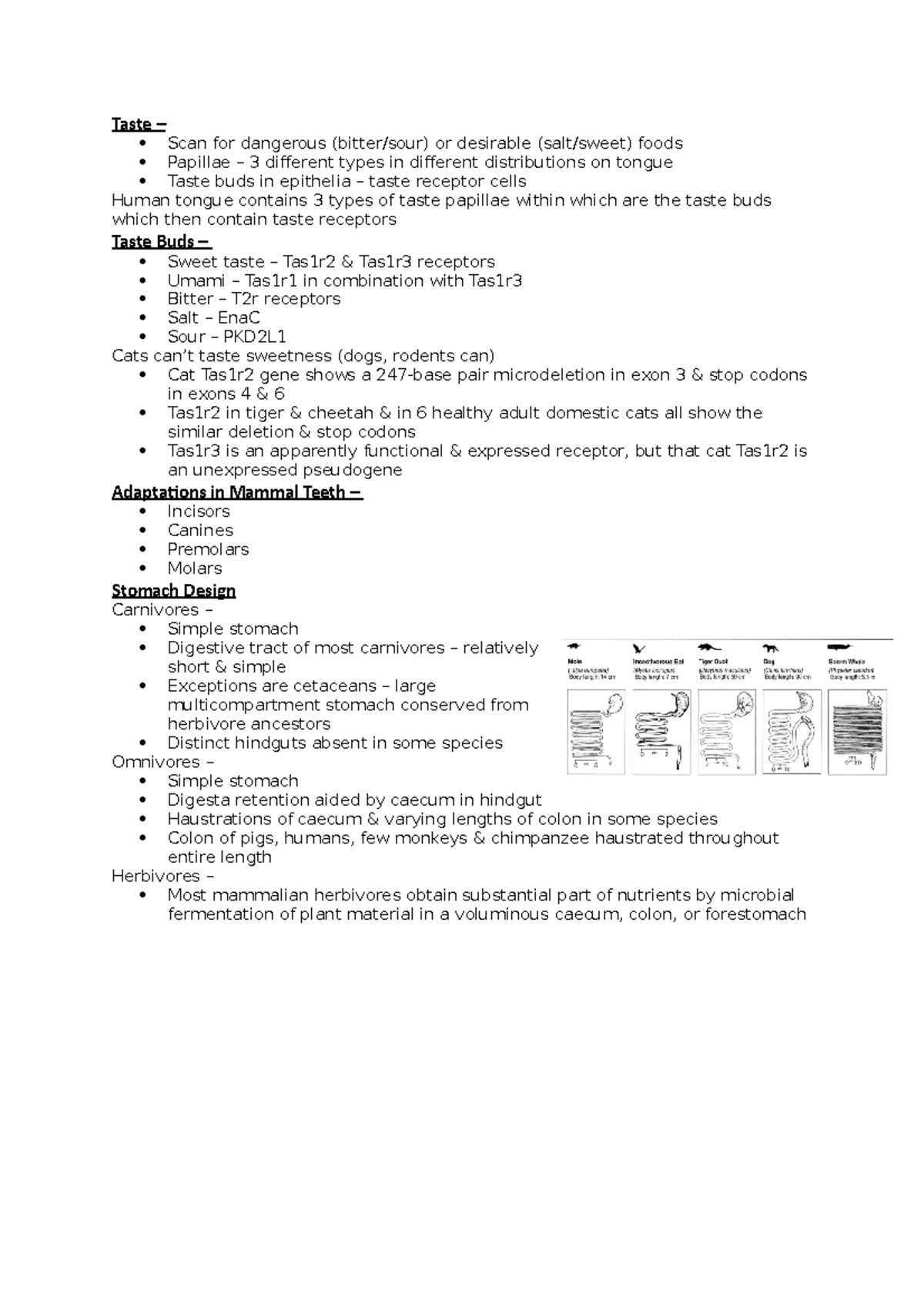 Taste - Lecture notes - Taste – Scan for dangerous (bitter/sour) or ...