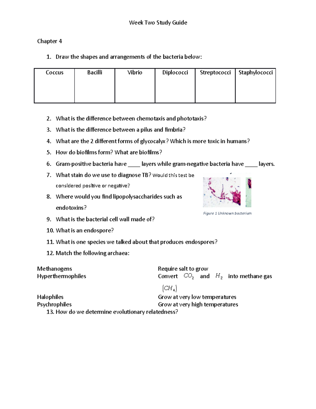 Week 2 - Bios notes - Week Two Study Guide Chapter 4 Draw the shapes ...