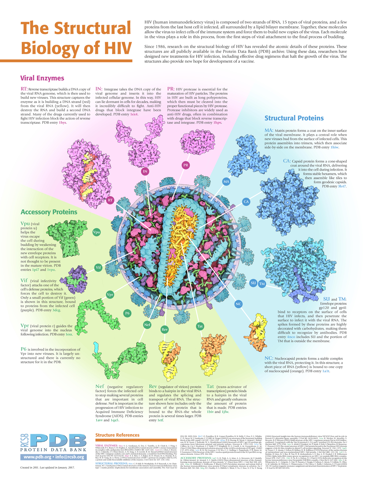 Structural biology of hiv - The Structural Biology of HIV pdb • info ...