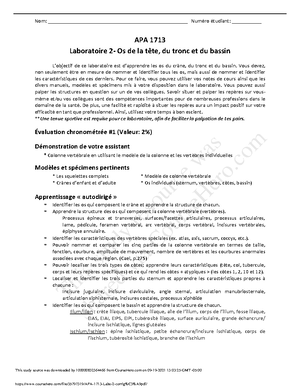 Anatomie cervicale - Sterno-cléido-mastoïdien Chef sternal; surface ...