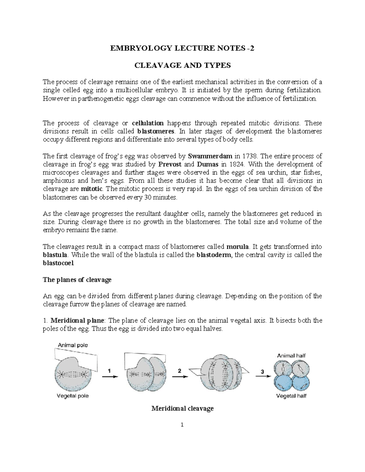 Cleavage - EMBRYOLOGY LECTURE NOTES CLEAVAGE AND TYPES The process of ...