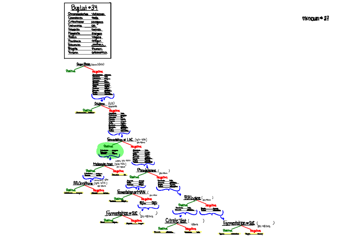 Microbiology Identity the Unknown Organism - on .EE?tm#?ia!eom nknown ...