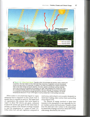 MKG 310 Module 7 Assignment - Name Date MKG 310 Module 7 ASSIGNMENT ...