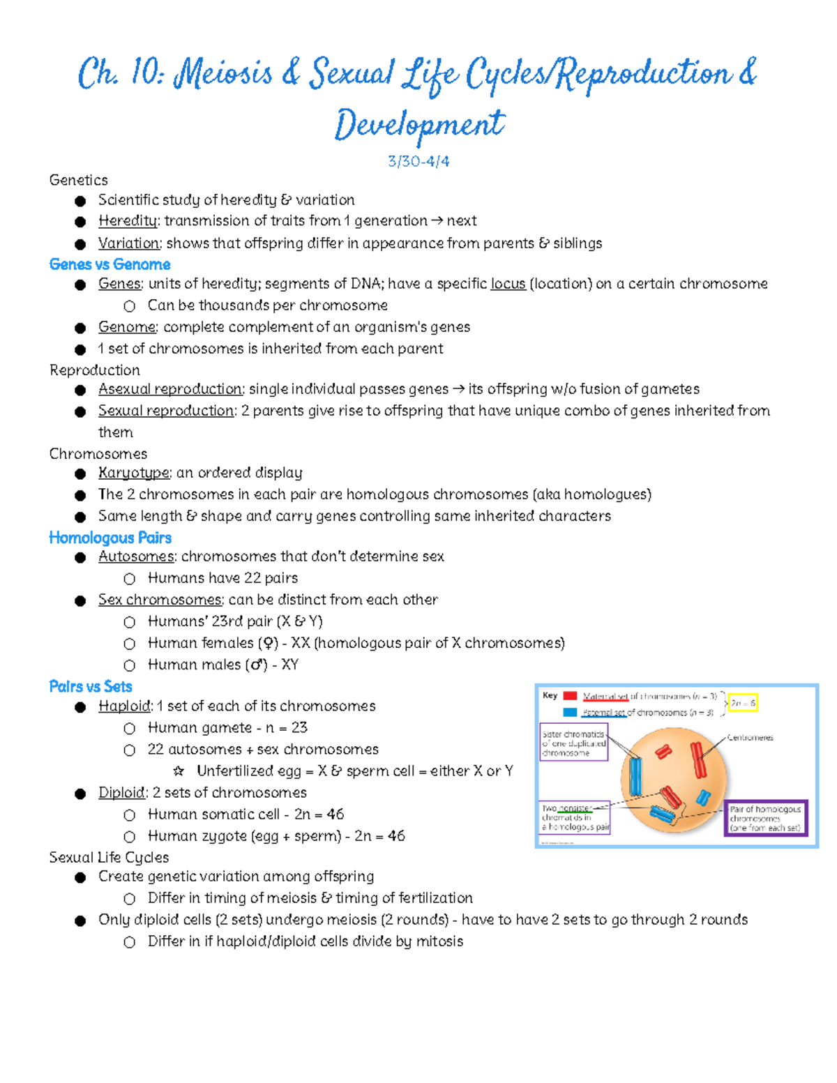Ch. 10: Meiosis Sexual Life Cycles Reproduction Development - Ch. 10 ...