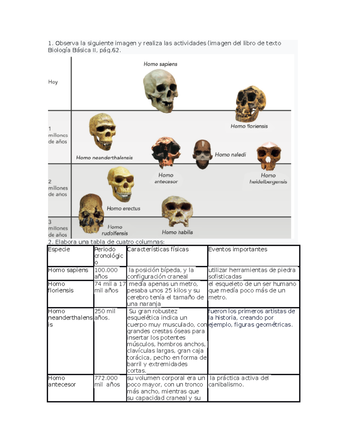 Actividad S4 Indagación de la Evolución de la especie humana - Observa ...