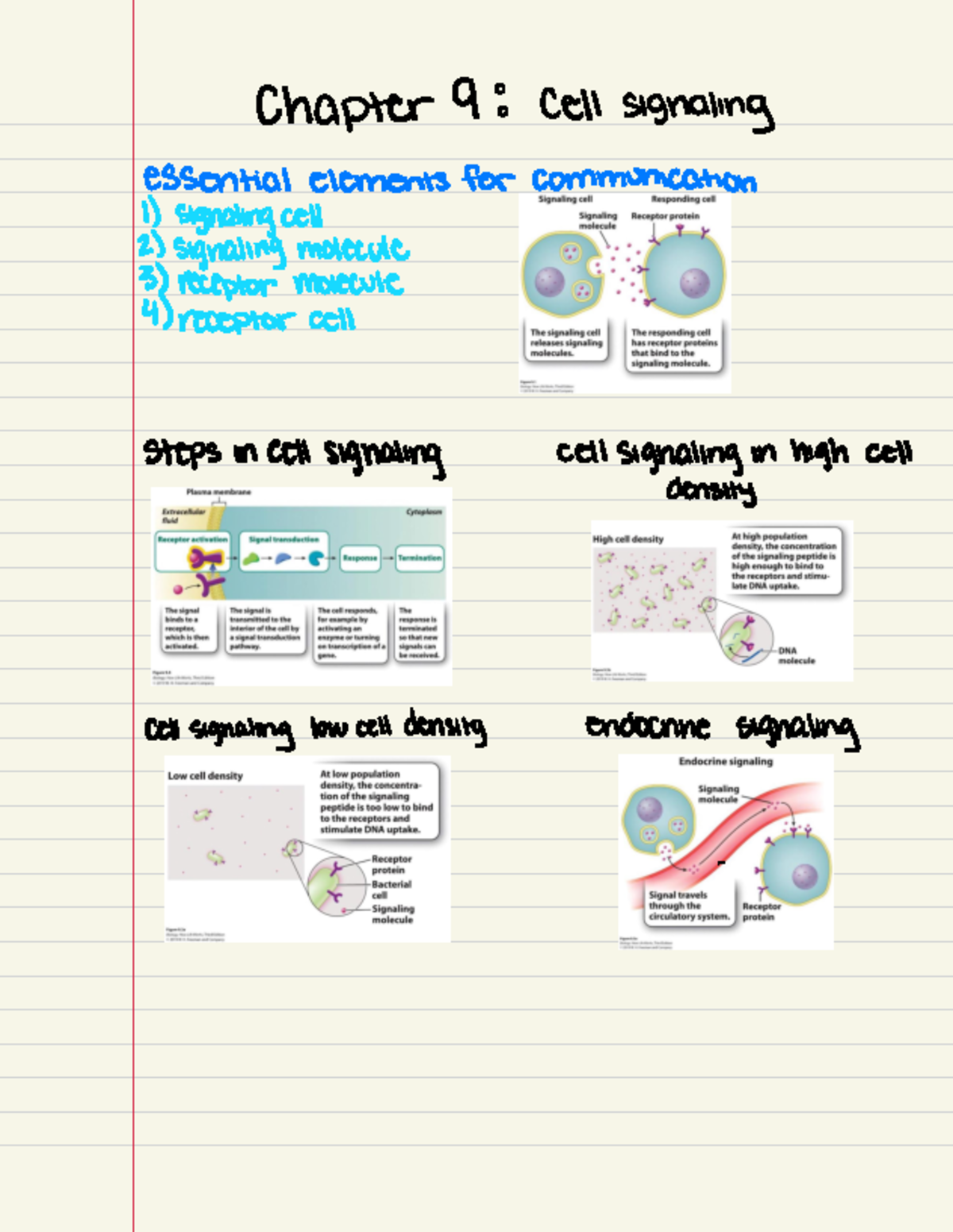 Bio 111.13 8 - cell signaling - Clraprer 42 Ceti signaina, eS3Sential ...