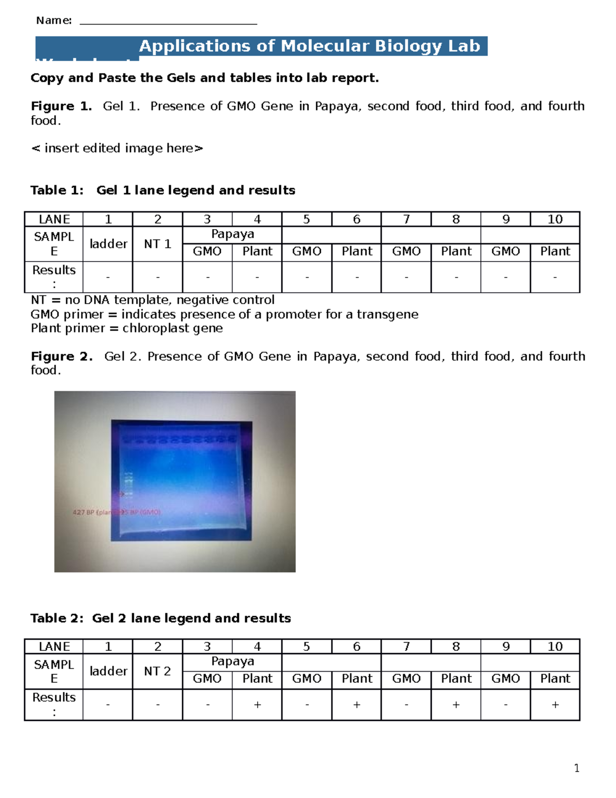 PCR Lab Worksheet GMO F22 - Copy and Paste the Gels and tables into lab ...