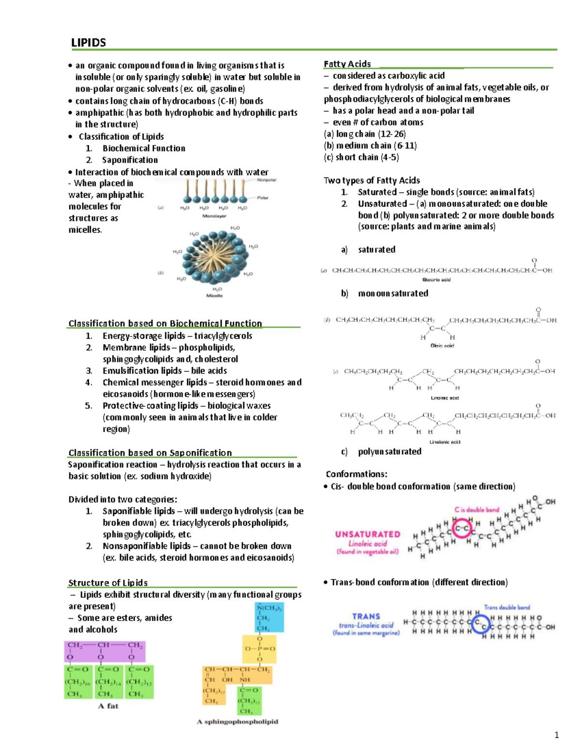 5- Lipids - LIPIDS an organic compound found in living organisms that ...