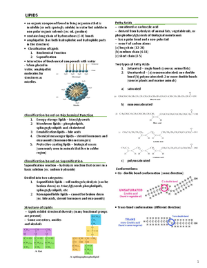 Module 1 Carbohydrates - MODULE 1 : CARBOHYDRATE METABOLISM ...