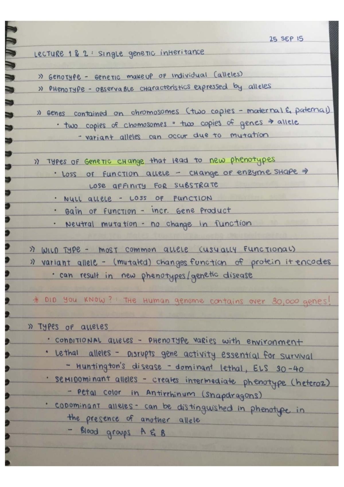 Human and molecular genetics a notes lecture notes lectures 1 20 - Studocu