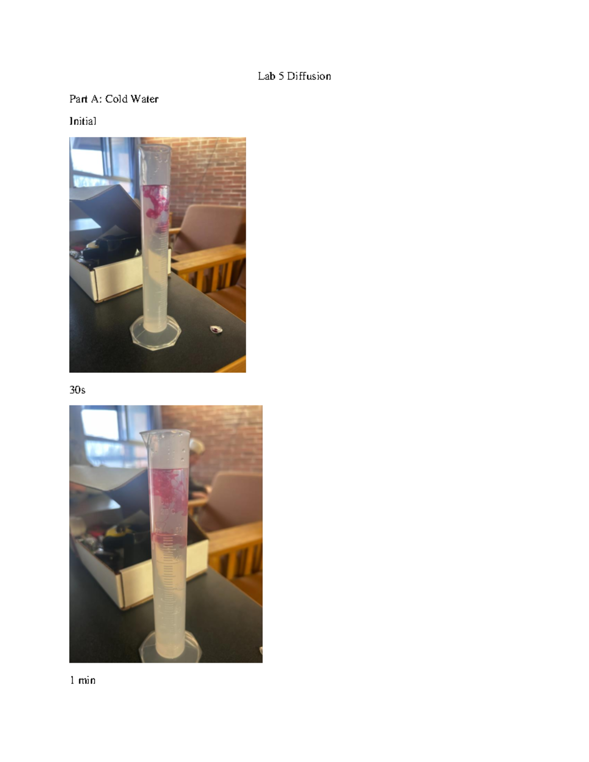 Lab 5 - got a 90 - Lab 5 Diffusion Part A: Cold Water Initial 30s 1 min ...