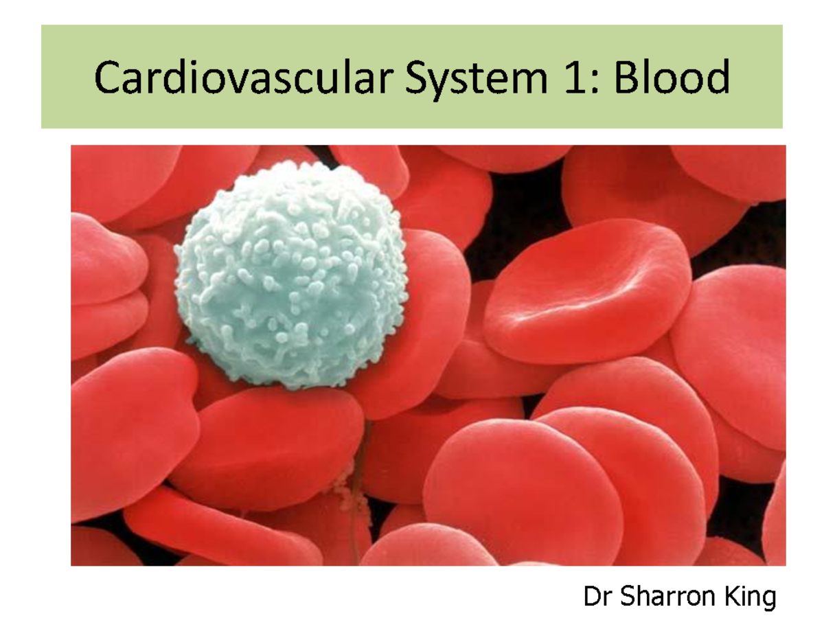 Lecture slides, lectures blood and cardiovascular system ...