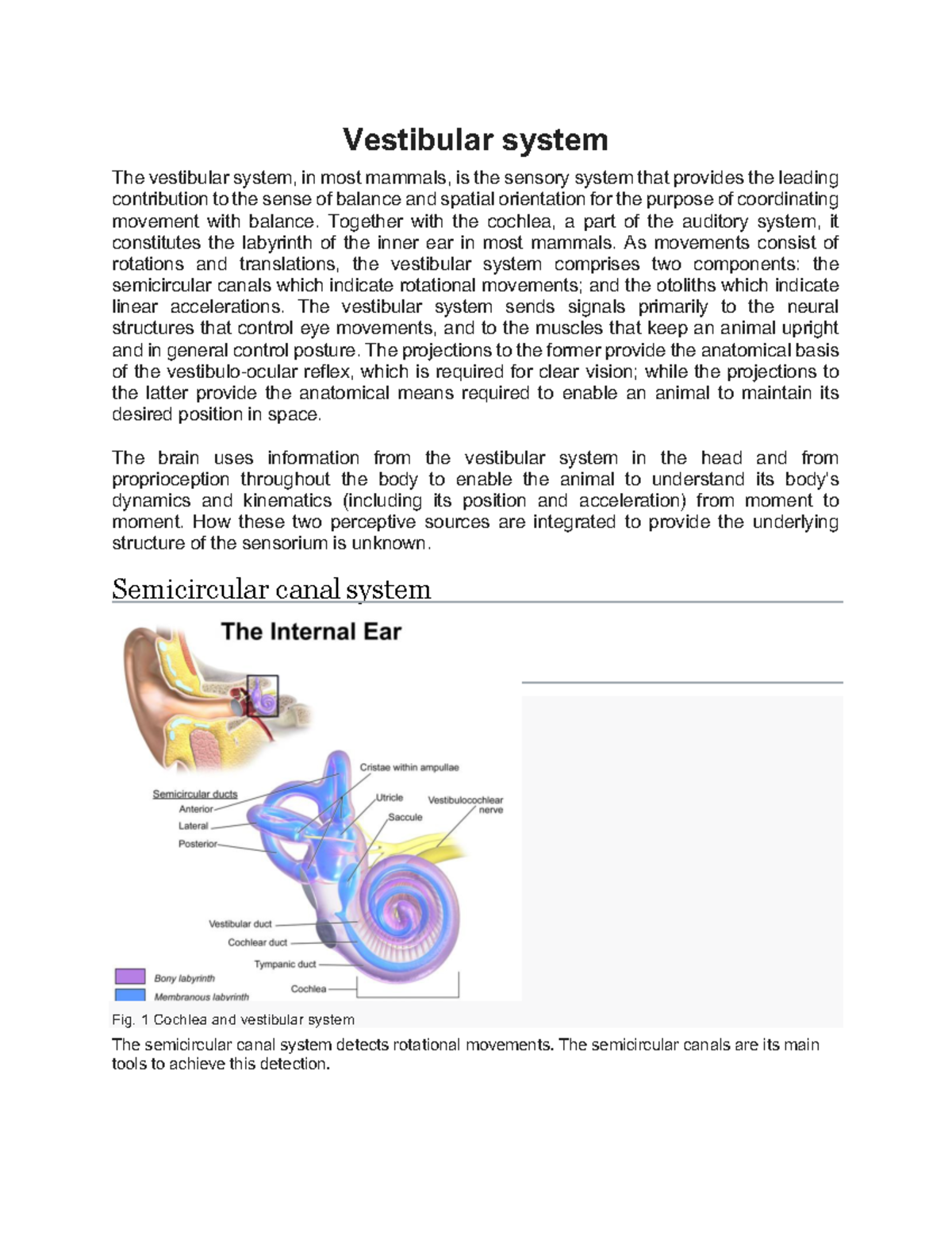 Week 5 Vestibular system 3 - Vestibular system The vestibular system ...