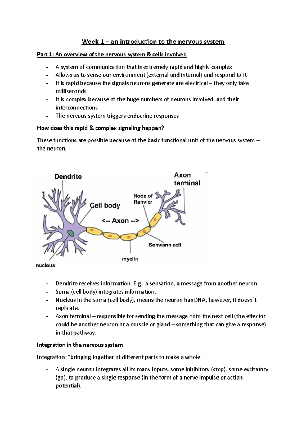 Week 1 an introduction to the nervous system - Week 1 – an introduction ...