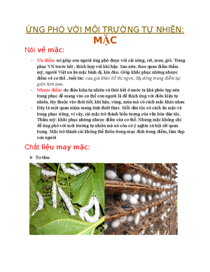 Hmong culture for history ASEAN - Use the word “Tableau” Many cultural ...