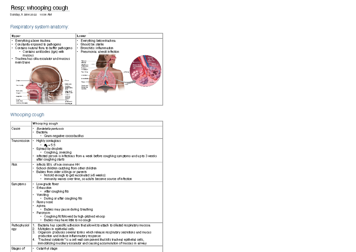 Resp: whooping cough - Resp: whooping cough Sunday, 5 June 2022 10:06 ...