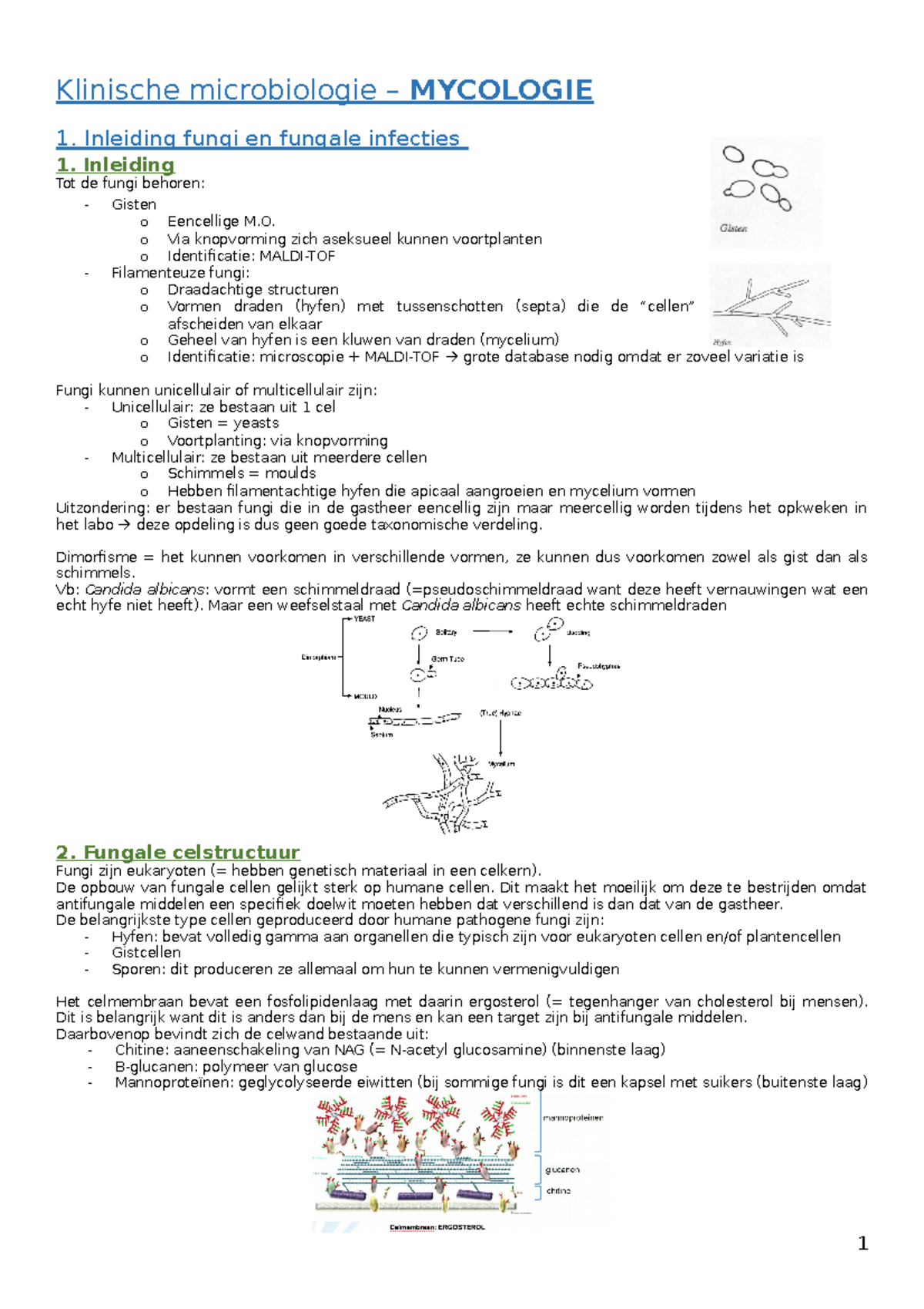 Klinische microbiologie – Mycologie - Klinische microbiologie – MYCOLOGIE 1. Inleiding fungi en ...