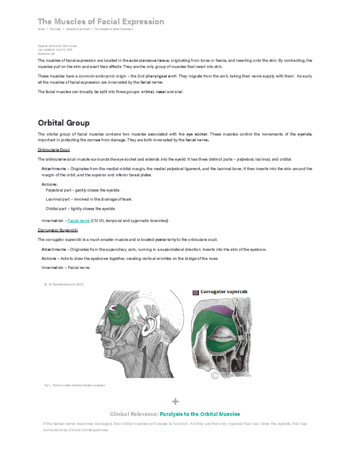 The Muscles of Facial Expression - Orbital Group - Nasal Group - Oral ...