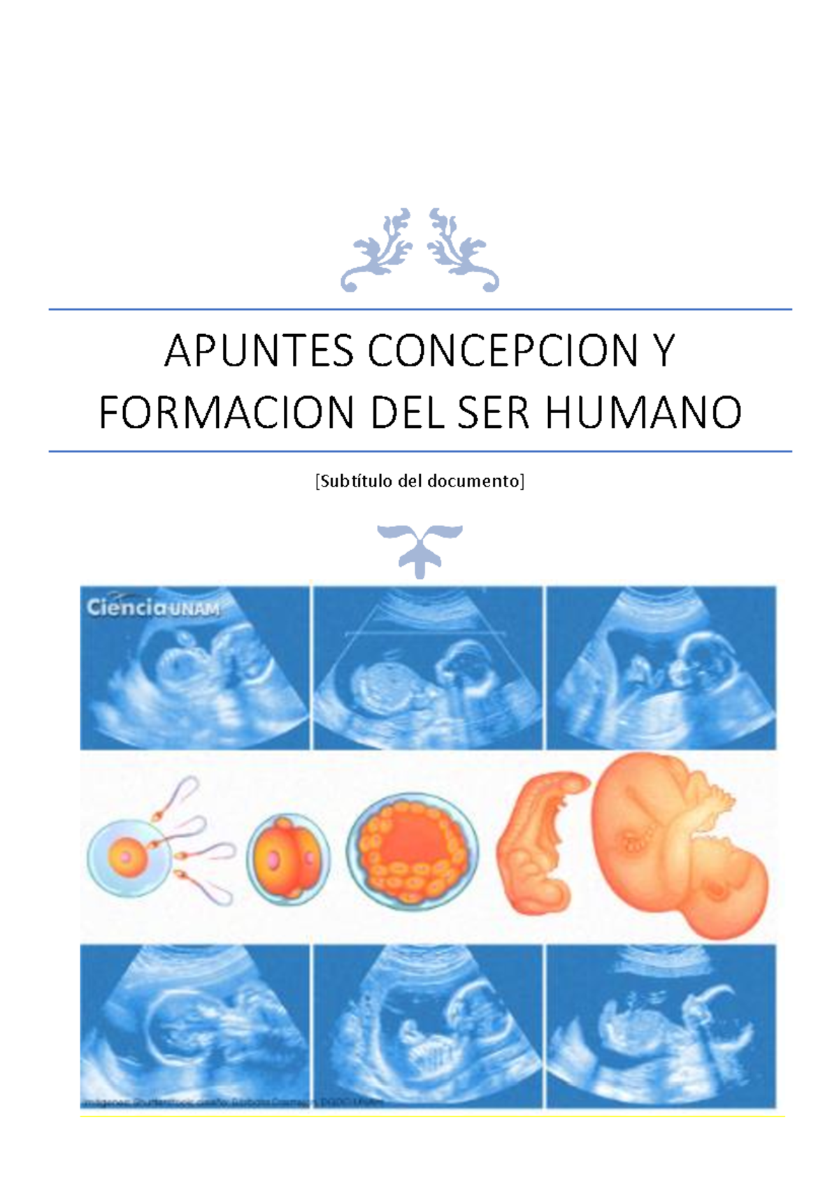 Apuntes Definitivo Concepcion Y Formacion del Ser Humano - APUNTES ...