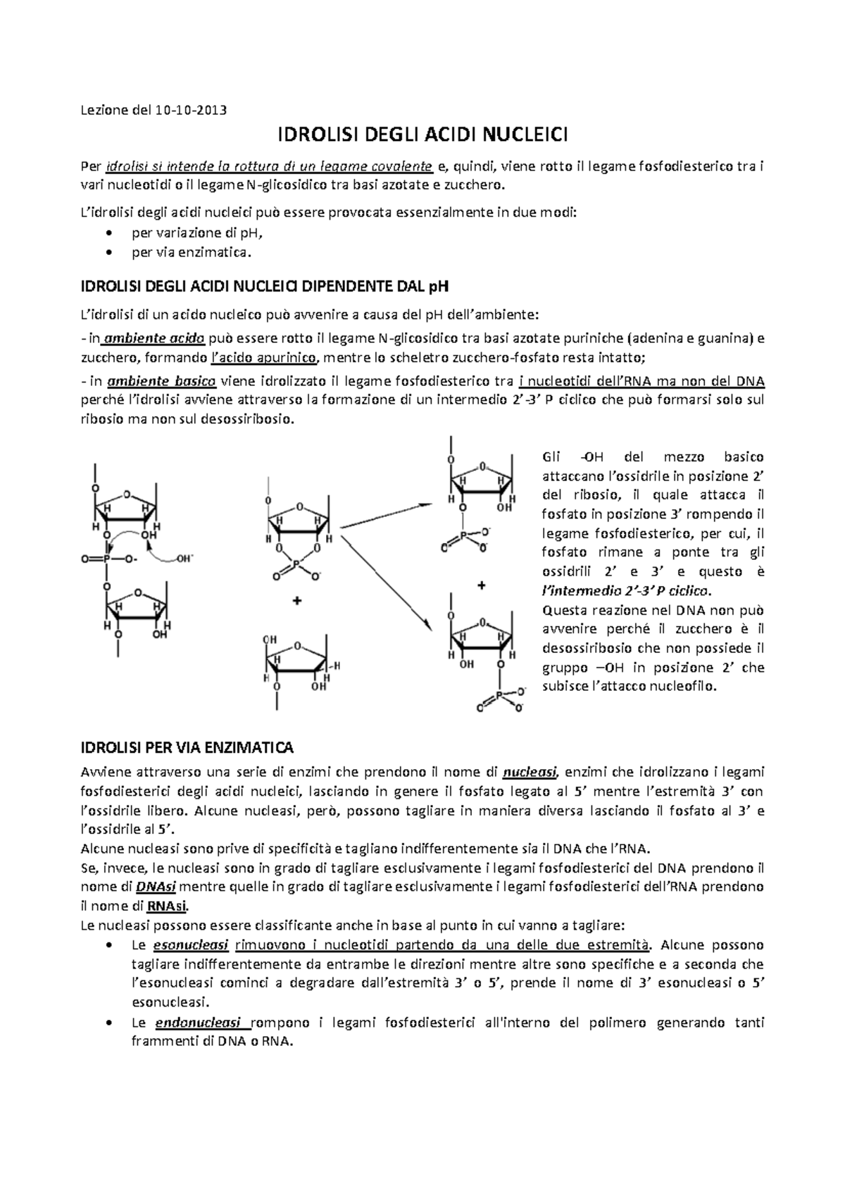 Idrolisi degli acidi nucleici - Lezione del 10-10- IDROLISI DEGLI ACIDI ...