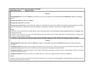 Care Plan Simulation Preeclampsia - Client Plan of Care with Nursing ...