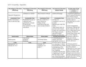 Pedi Case Study Leukemia - Pedi Case Study Leukemia Nicole’s laboratory ...