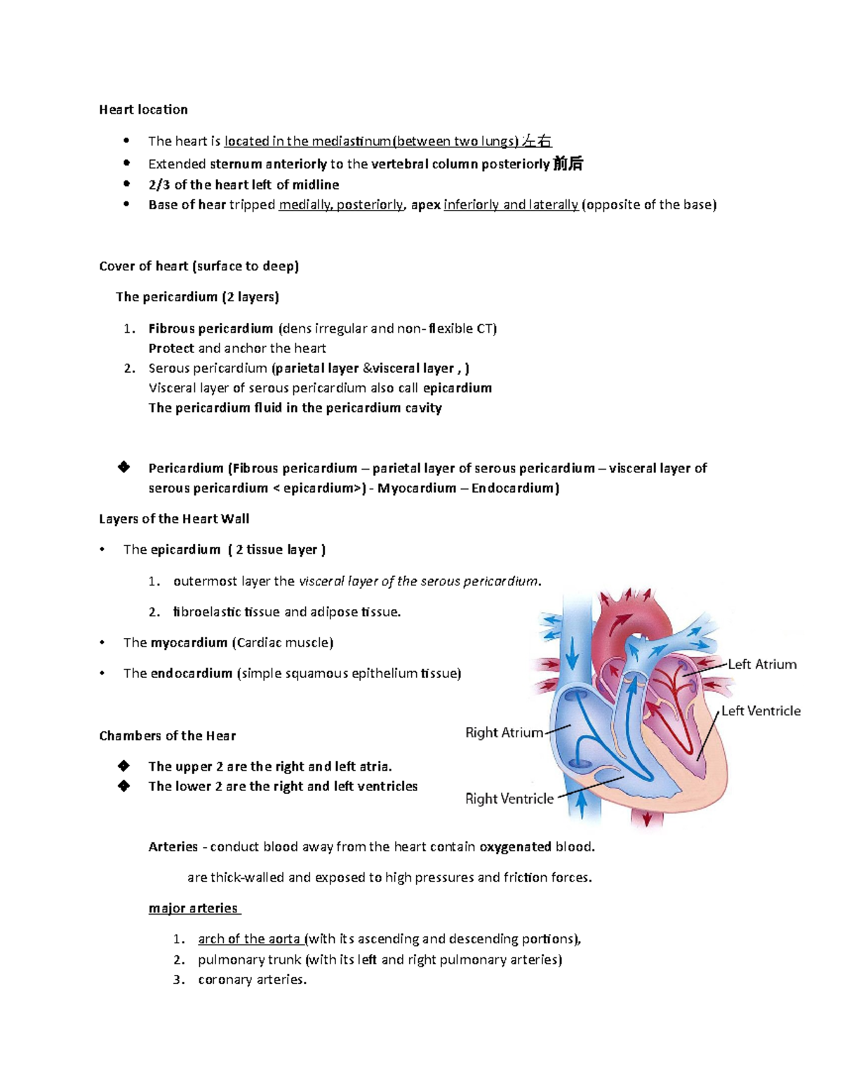 A&P 20 Heart - Summary Professional Practice II: Introduction to the ...